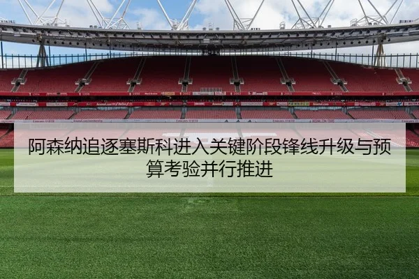 阿森纳追逐塞斯科进入关键阶段锋线升级与预算考验并行推进 - 4399小游戏大全